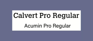 25 Kombinasi Font Terbaik dan Kekinian- IDS | BTEC