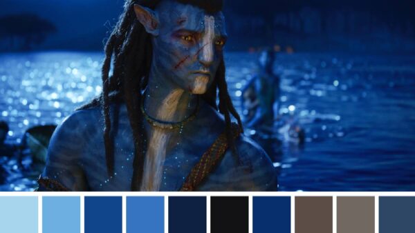 Peran Color Grading dalam Film: Warna Lebih dari Estetika - IDS | BTEC
